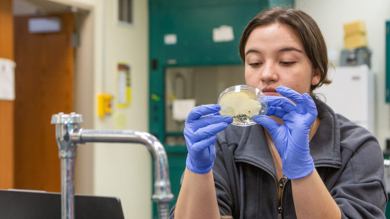 Goals and Initiatives | Pathways to Reslience | Appalachian State ...